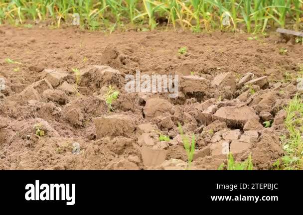 Agricultural rake Stock Videos & Footage - HD and 4K Video Clips - Alamy