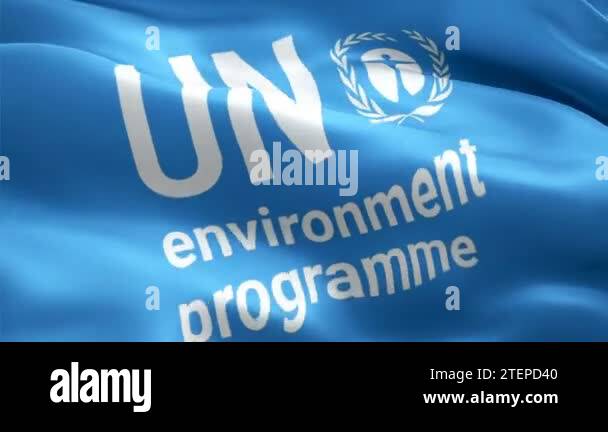UN Environment programme logo. National 3d United Nations Ecology logo ...