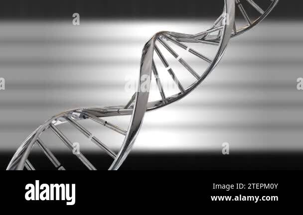 Video of dna strand spinning with copy space on grey background ...