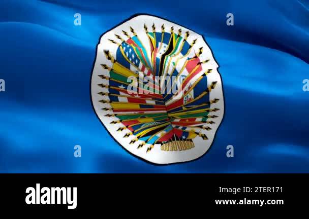 OAS logo. National 3d Organization of American States logo waving. Sign ...