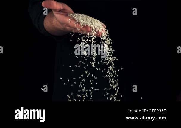 A handful of uncooked rice falls from a mans hand. On a black ...