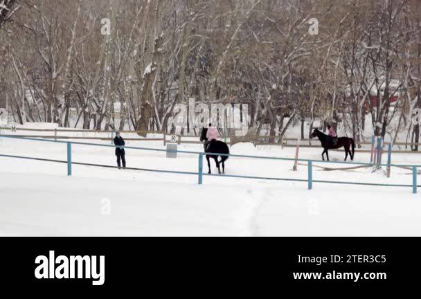 Paddock girls Stock Videos & Footage - HD and 4K Video Clips - Alamy