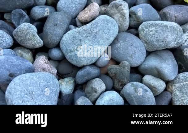 Wreck Beach, Tower Beach, Acadia Beach Nudist beach in Vancouver There ...