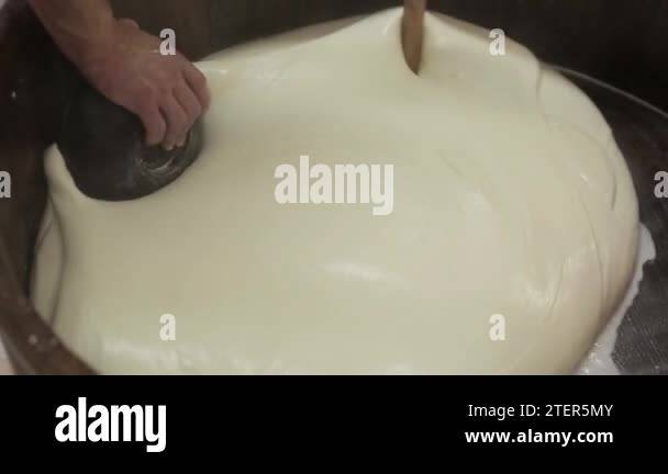 Local traditional production cheese dairy produce. Handmade process ...