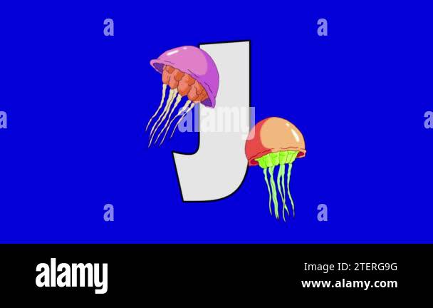 Letter j jellyfish Stock Videos & Footage - HD and 4K Video Clips - Alamy