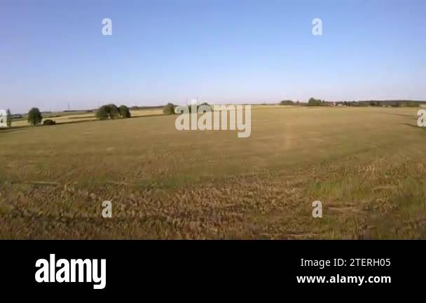 Park ground low angle Stock Videos & Footage - HD and 4K Video Clips ...