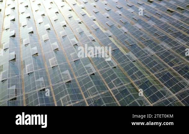 Top view of a greenhouse agricultural complex. Technical solution for ...