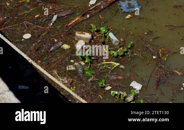Contaminated water by animal waste Stock Videos & Footage - HD and 4K ...