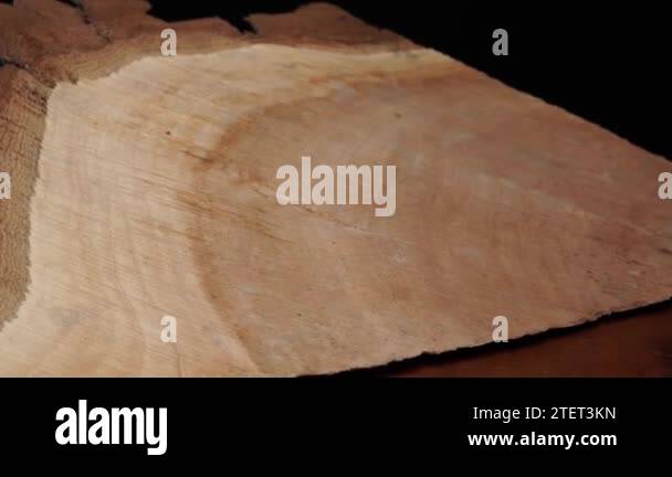 Structure of a stump fibre and bark from a saw cut tree trunk. Plant ...