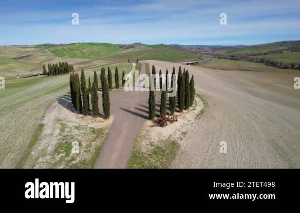 Tuscany cypress tree group Stock Videos & Footage - HD and 4K Video ...