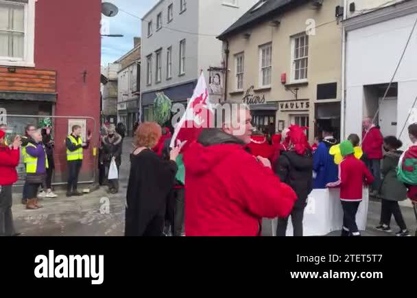 Flower of saint davids day Stock Videos & Footage - HD and 4K Video ...