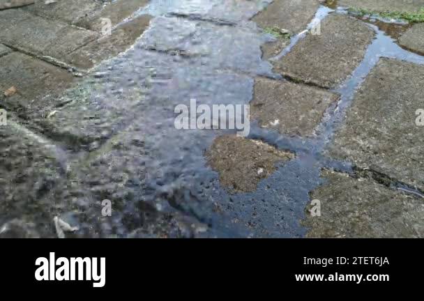 Block leave Stock Videos & Footage - HD and 4K Video Clips - Alamy