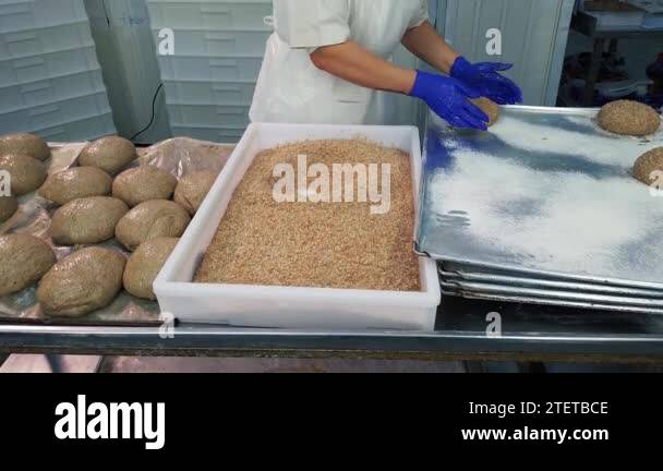 Women roll fresh loaves of bread in breading crumbs before baking ...