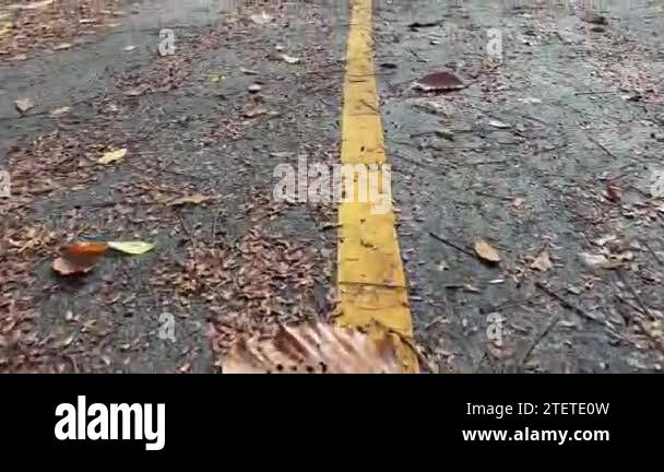 Dry wet climate Stock Videos & Footage - HD and 4K Video Clips - Alamy