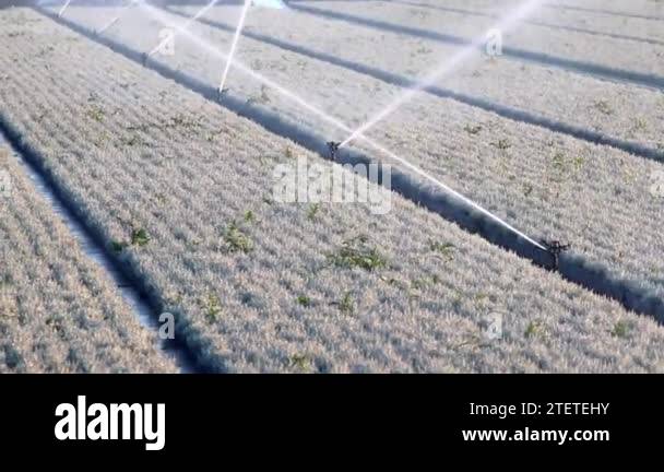 Agricultural irrigation system is needed due to hot summer and drought ...