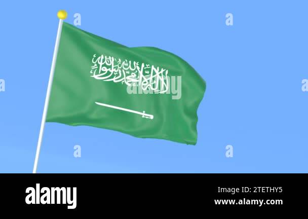 Saudi arabia national emblem Stock Videos & Footage - HD and 4K Video ...