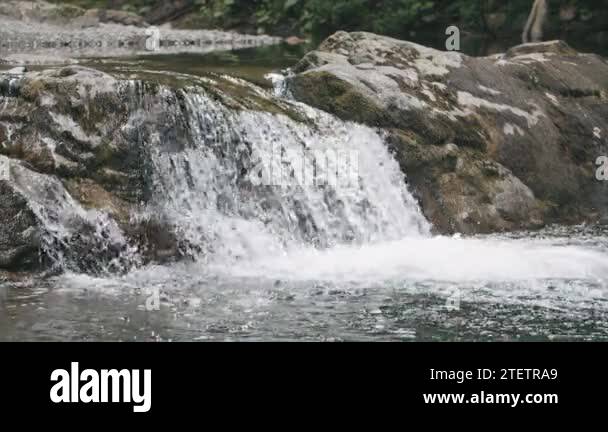 Flowing natural forms Stock Videos & Footage - HD and 4K Video Clips ...