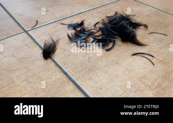 Hairs falling Stock Videos & Footage - HD and 4K Video Clips - Alamy