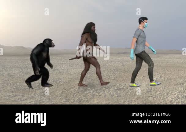 Character evolution Stock Videos & Footage - HD and 4K Video Clips - Alamy