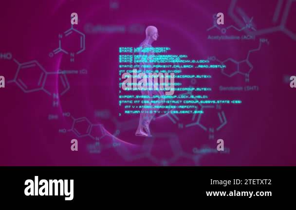 Animation of chemical formulas and data processing over walking model ...