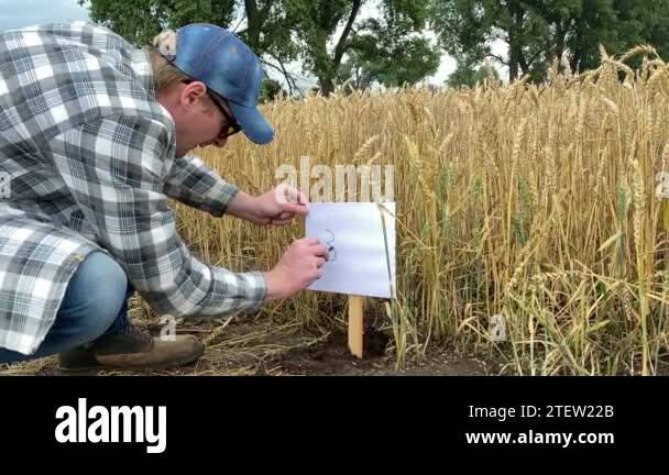 Crop marking field Stock Videos & Footage - HD and 4K Video Clips - Alamy