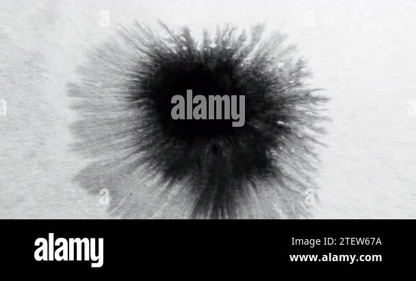 Ink drop water. Transition overlay. Watercolor paint splatter. Black ...