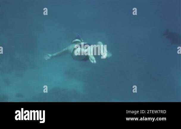 Man diver Stock Videos & Footage - HD and 4K Video Clips - Alamy