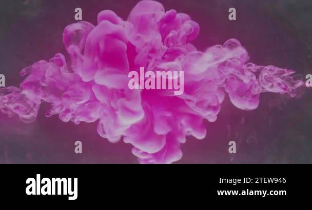 Color explosion. Ink water splash. Logo opener effect. Neon pink fluid ...