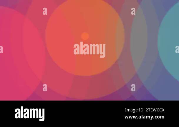 Abstract animated colourful circle Seamless loop motion background ...
