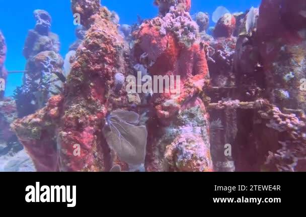 4k video footage of MUSA - The Museum of Underwater Art in Isla Mujeres ...