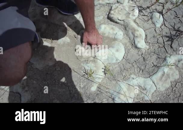 Sedimentary rocks texas Stock Videos & Footage - HD and 4K Video Clips ...