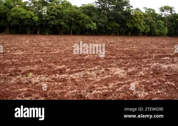 Systematic agriculture Stock Videos & Footage - HD and 4K Video Clips ...