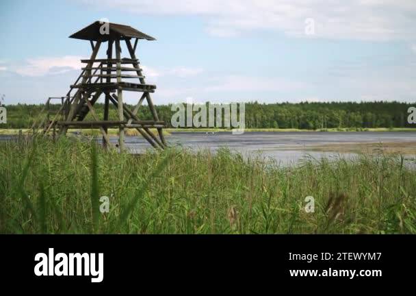 Birdwatching observation tower Stock Videos & Footage - HD and 4K Video ...