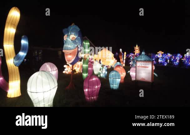 Ocean light sculpture Stock Videos & Footage - HD and 4K Video Clips ...