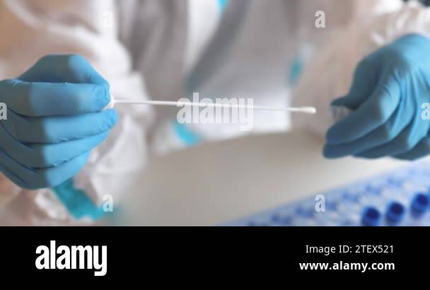 Process of coronavirus PCR antigen testing examination by nurse medic ...