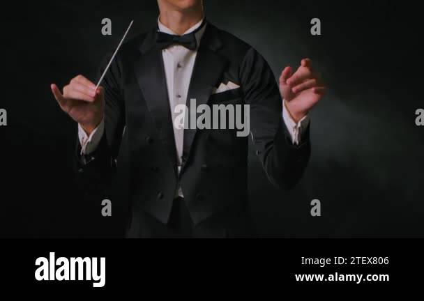 Concert of classical music under direction of an orchestra conductor ...