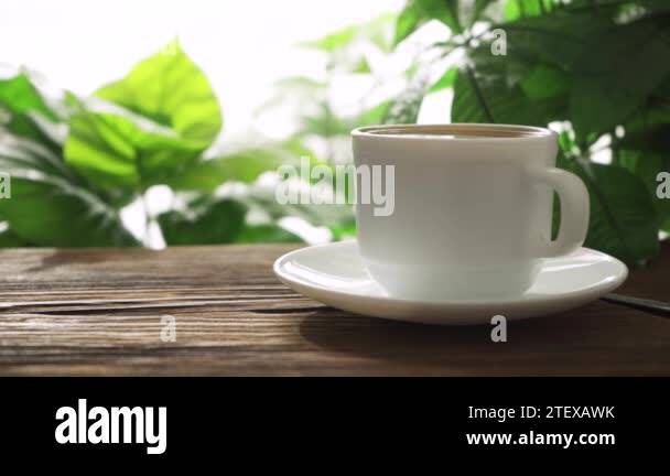 Coffee break board Stock Videos & Footage - HD and 4K Video Clips - Alamy