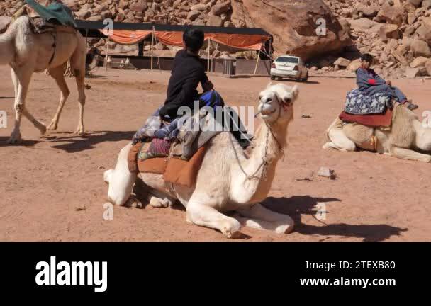 Colonel thomas rose Stock Videos & Footage - HD and 4K Video Clips - Alamy