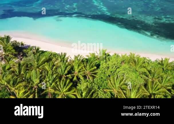 Fiji pacific beach tropical jungle Stock Videos & Footage - HD and 4K ...