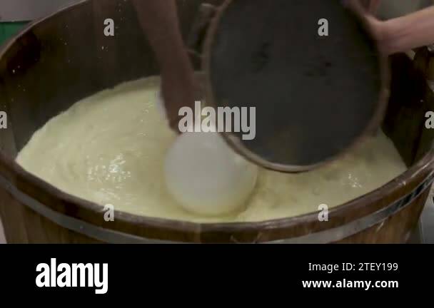 Handmade process production mozzarella cheese making manually cheese ...