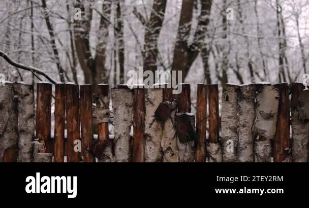 Log fencing Stock Videos & Footage - HD and 4K Video Clips - Alamy