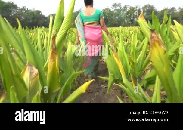INDIA - CIRCA 2019: Middle aged woman in traditional clothes walking ...