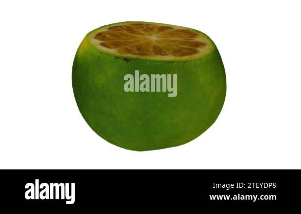 Realistic render of a spinning cut Dalandan Orange on white background ...