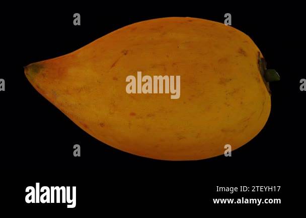 Realistic render of a rolling Canistel (Eggfruit, Tisa) on transparent ...