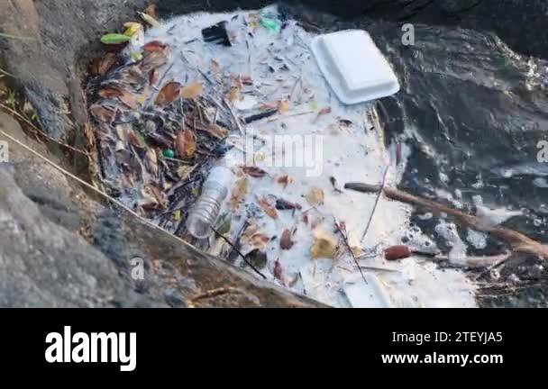 Plastic waste in the mountain stream in the forest. water pollution ...