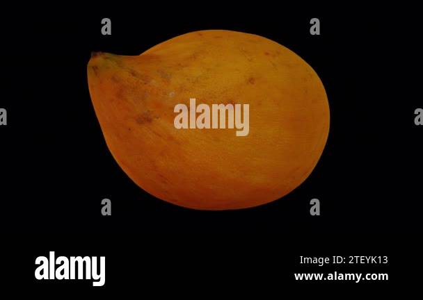 Realistic render of a spinning Canistel (Eggfruit, Tisa) on transparent ...