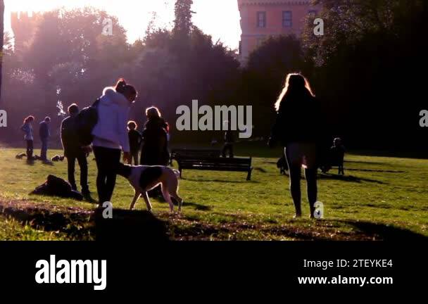 Scenes of a park Stock Videos & Footage - HD and 4K Video Clips - Alamy