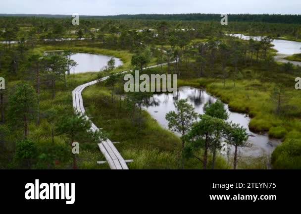 Pathway trough ponds Stock Videos & Footage - HD and 4K Video Clips - Alamy
