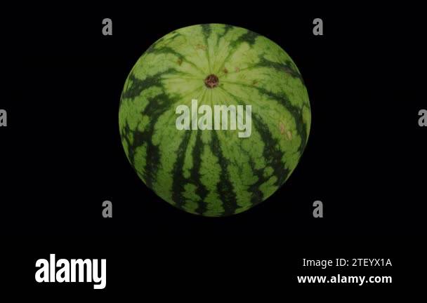 Realistic render of a rolling Watermelon on transparent background ...