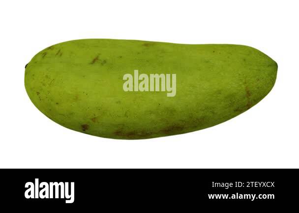 Realistic render of a rolling Green (Unripe) Ivory Mango on white ...